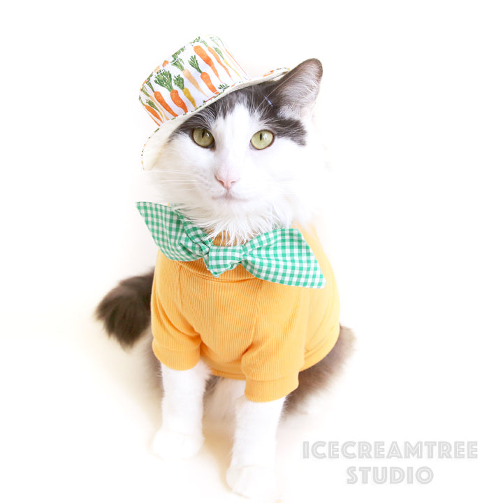 Carrots Bucket Hat - Pet Petite Hat – Icecreamtree Studio